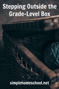 Stepping Outside the Grade-Level Box - Simple Homeschool