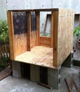 Raising chickens and the art of project-based learning - Simple Homeschool