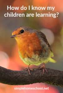 How do I know my children are learning? - Simple Homeschool
